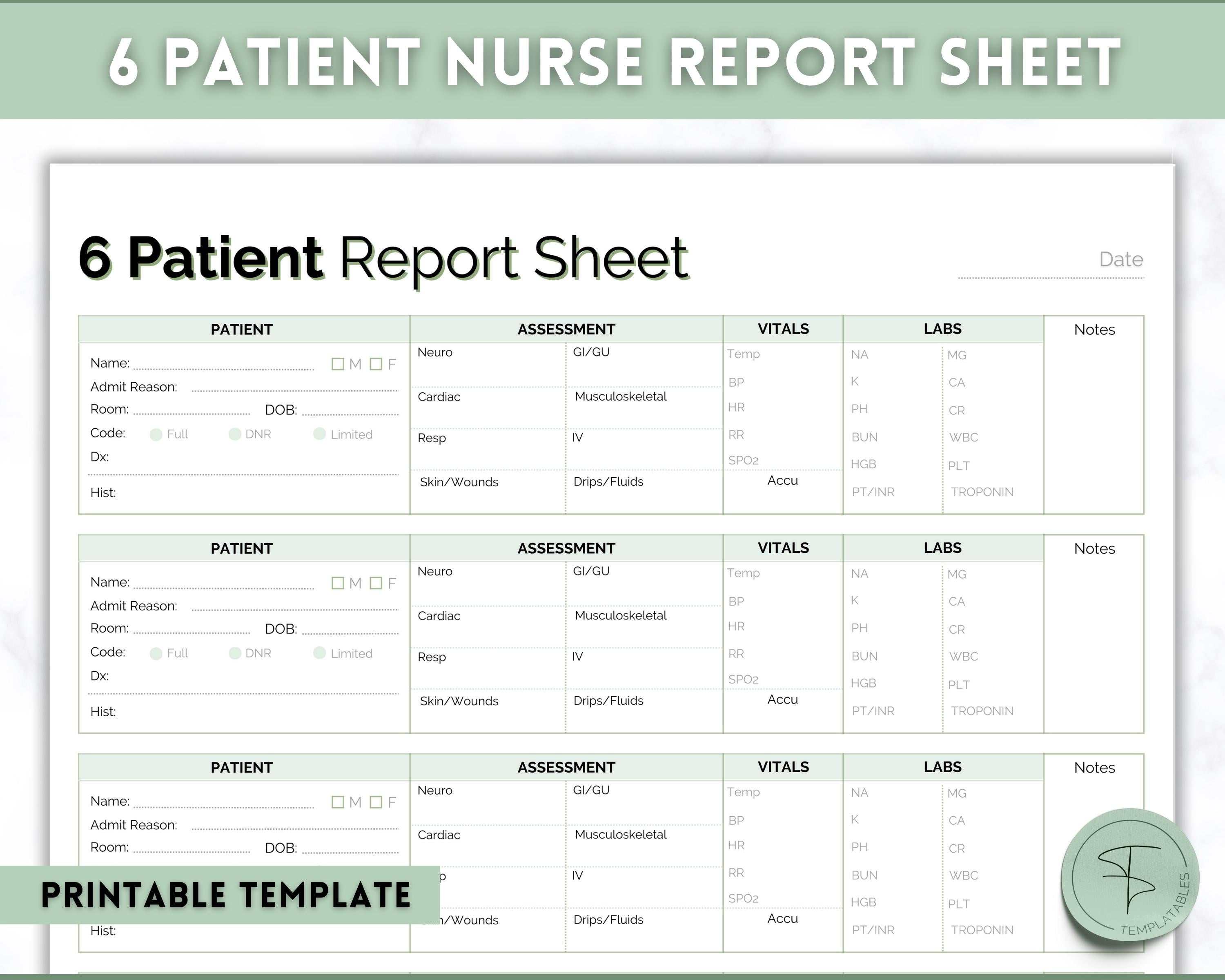 6 Patient Nurse Report Sheet to Organize your Shifts | Green