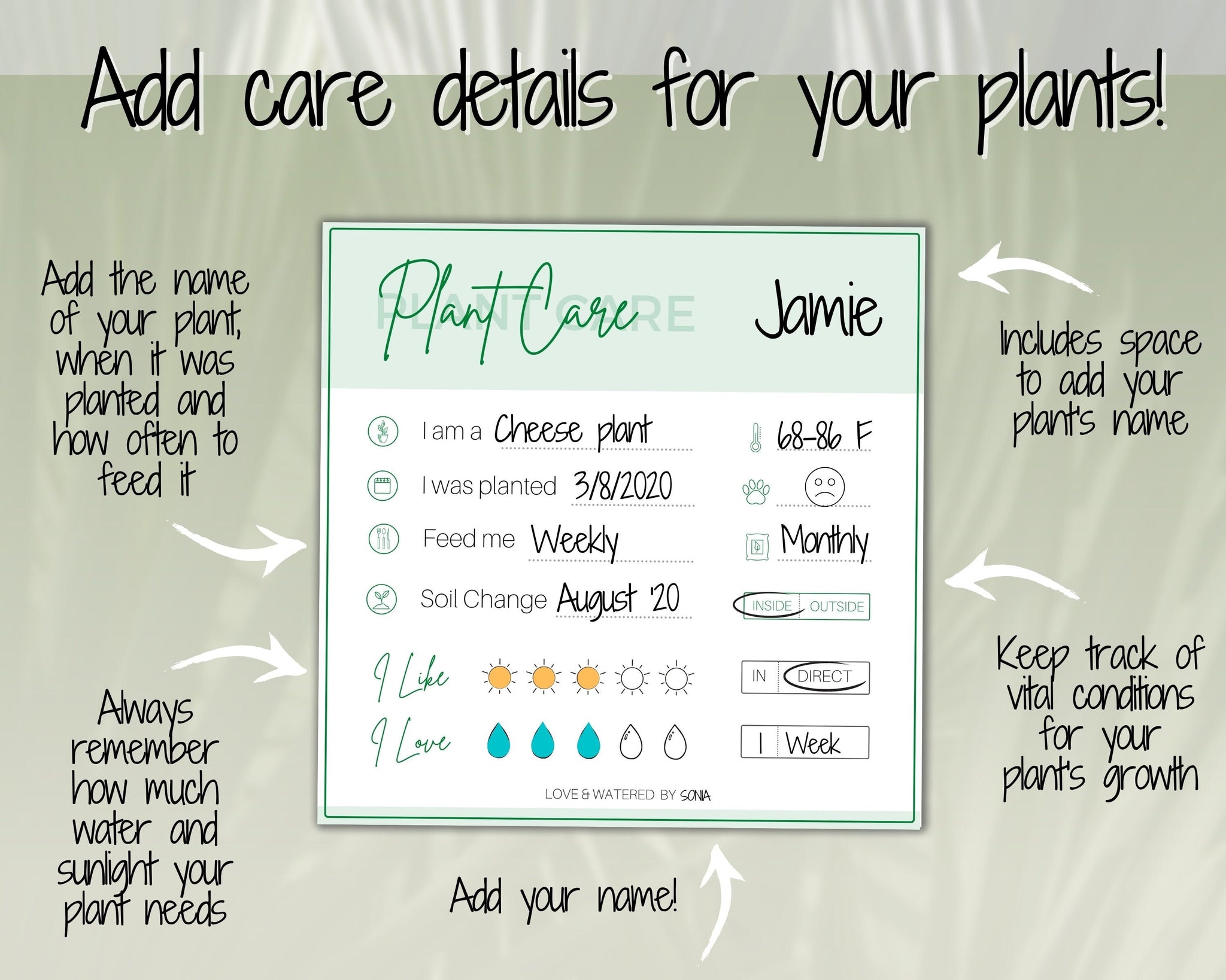 PLANT CARE Tags | Printable Houseplant Care Instructions Cards