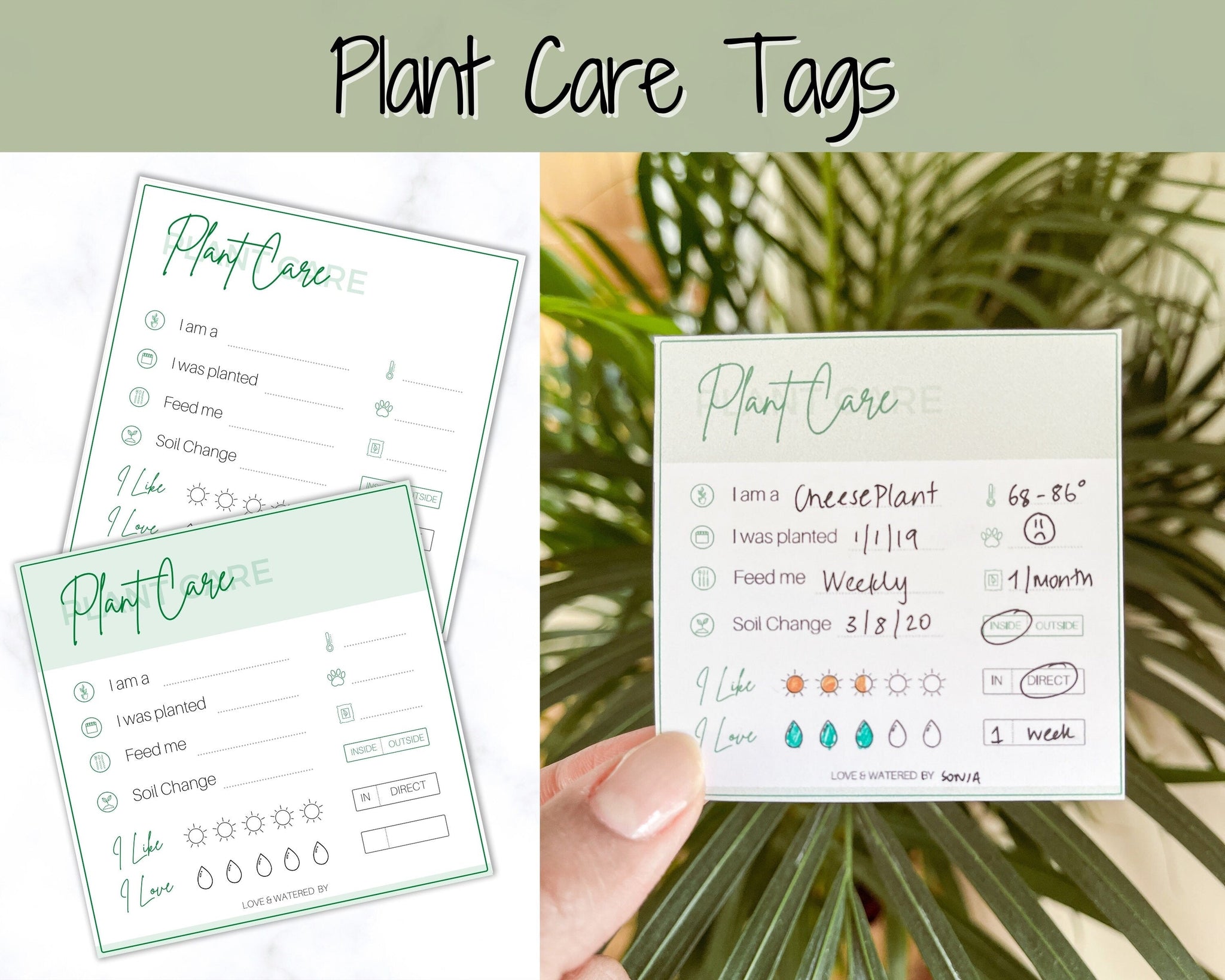 PLANT CARE Tags | Printable Houseplant Care Instructions Cards