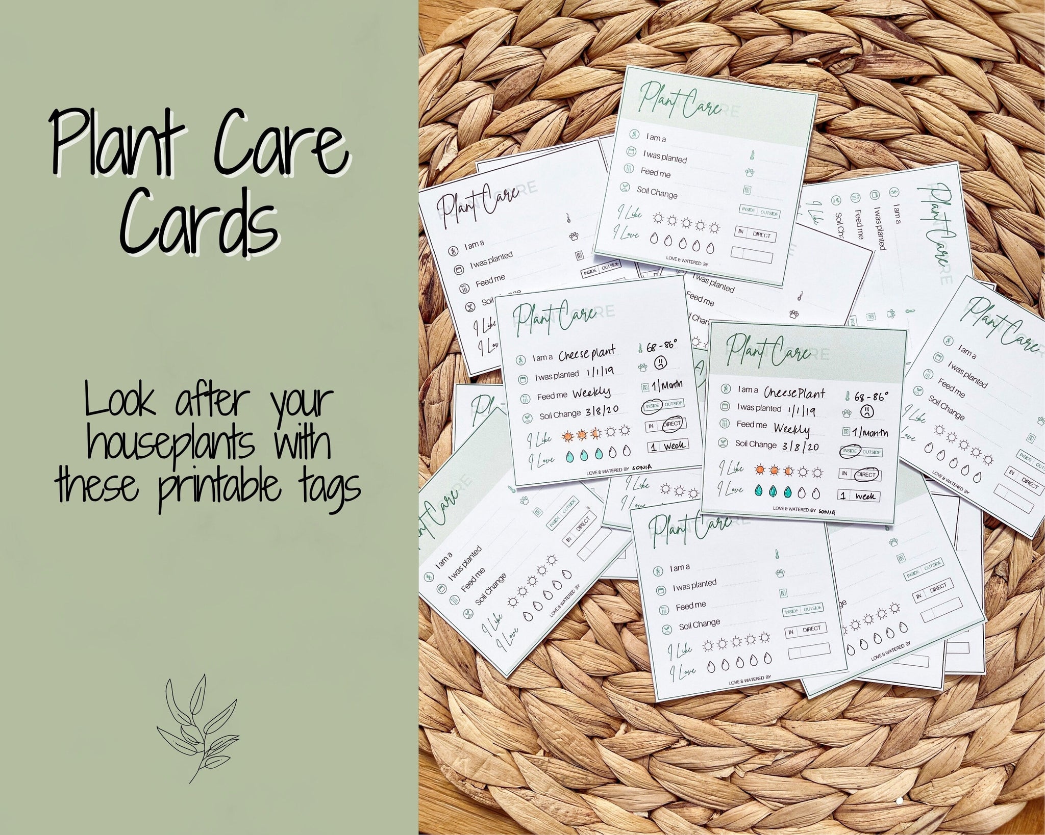 PLANT CARE Tags | Printable Houseplant Care Instructions Cards